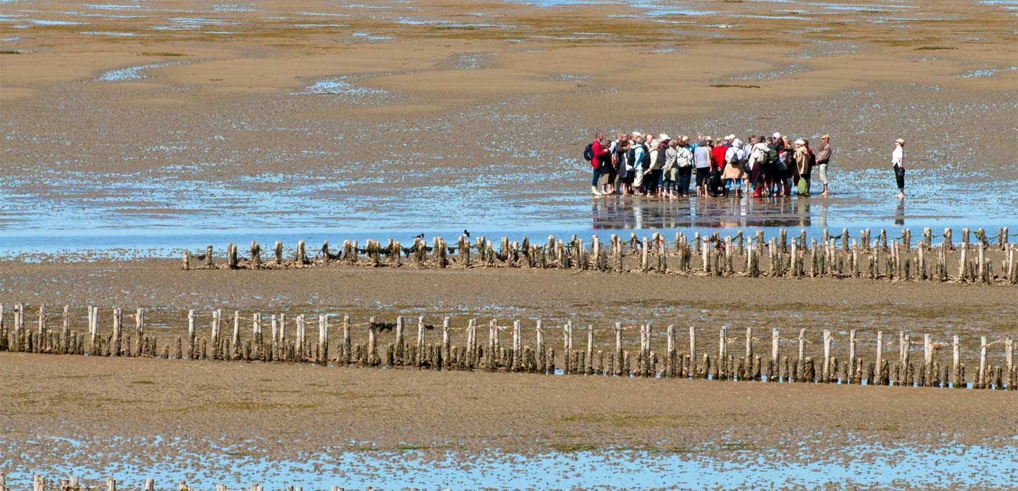 Nationalpark Vadehavet | Vadehavskysten